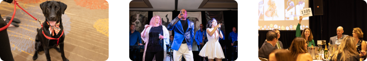 A Home for the Holidays Gala - Peninsula Humane Society & SPCA